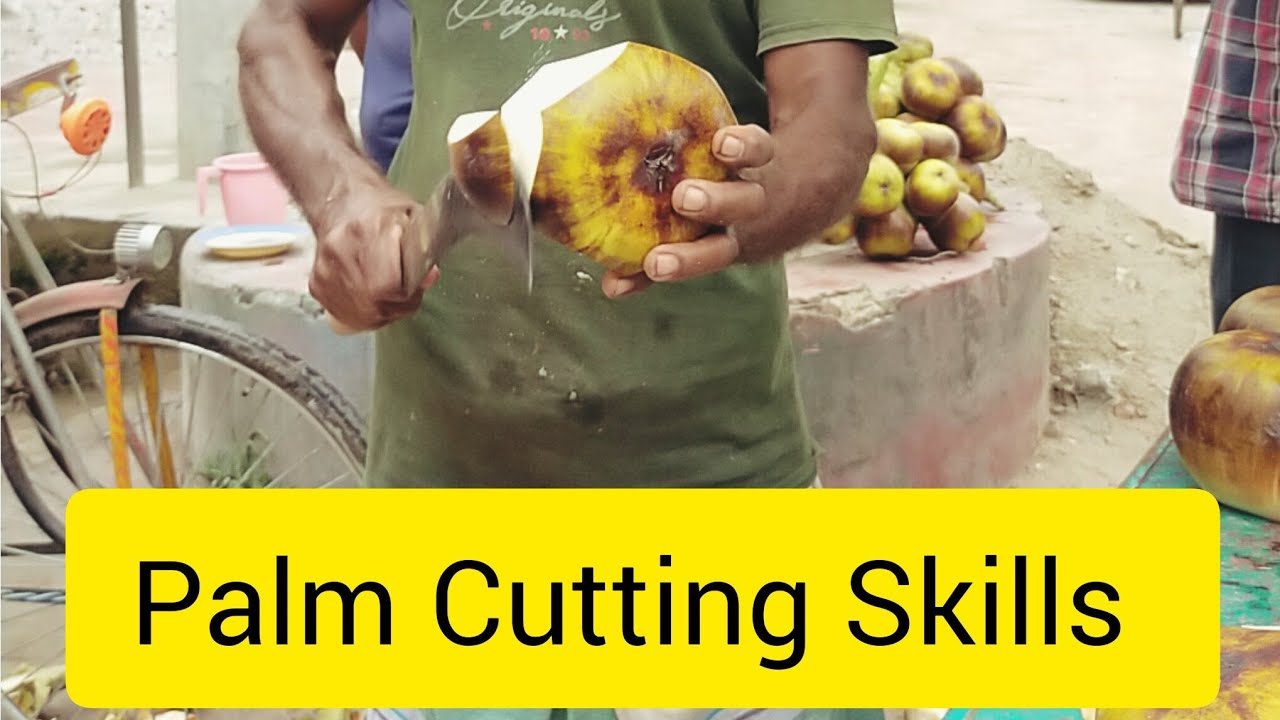 Amazing Tal Fruits Toddy Palm Cutting Skills.. ️ ️ - YouTube