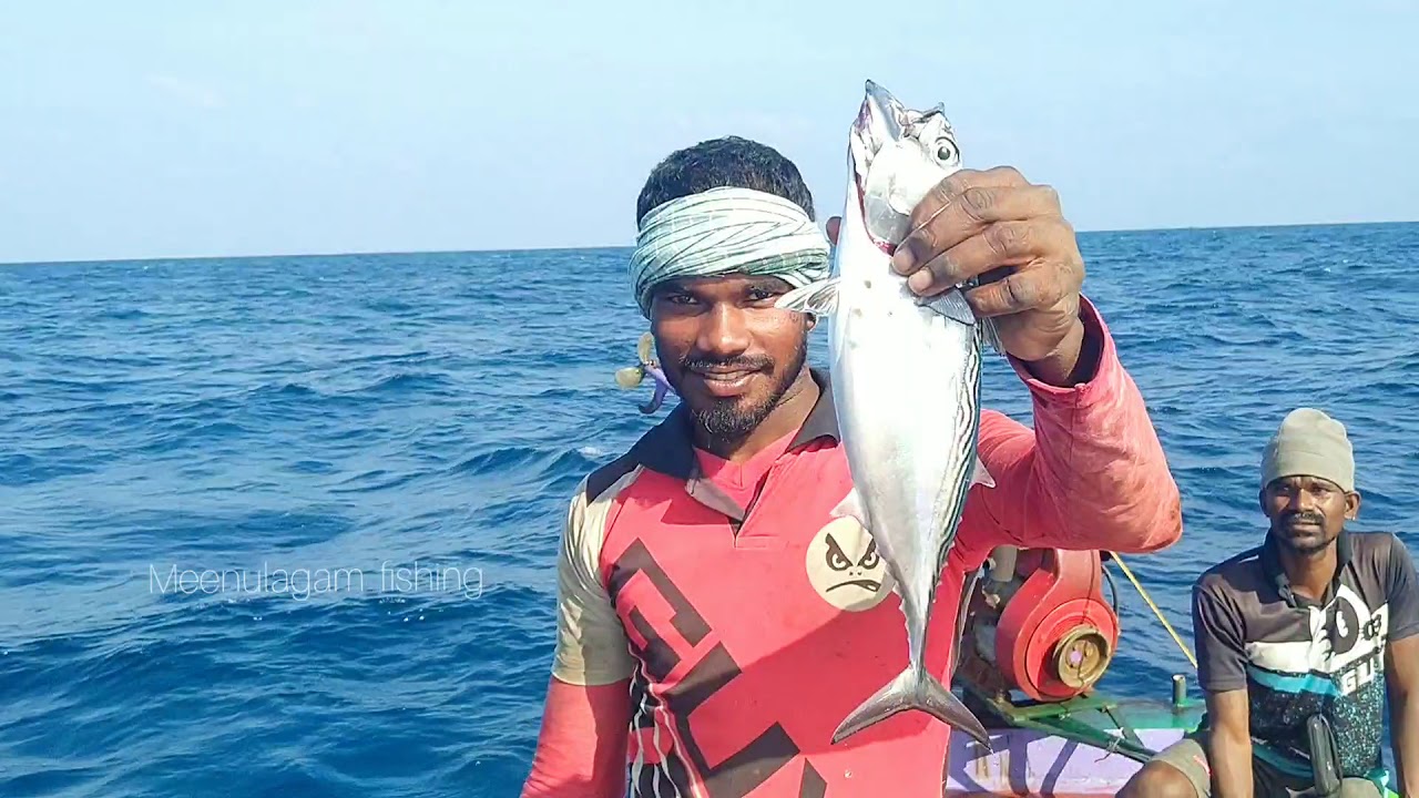 Tuna fish catching video - YouTube