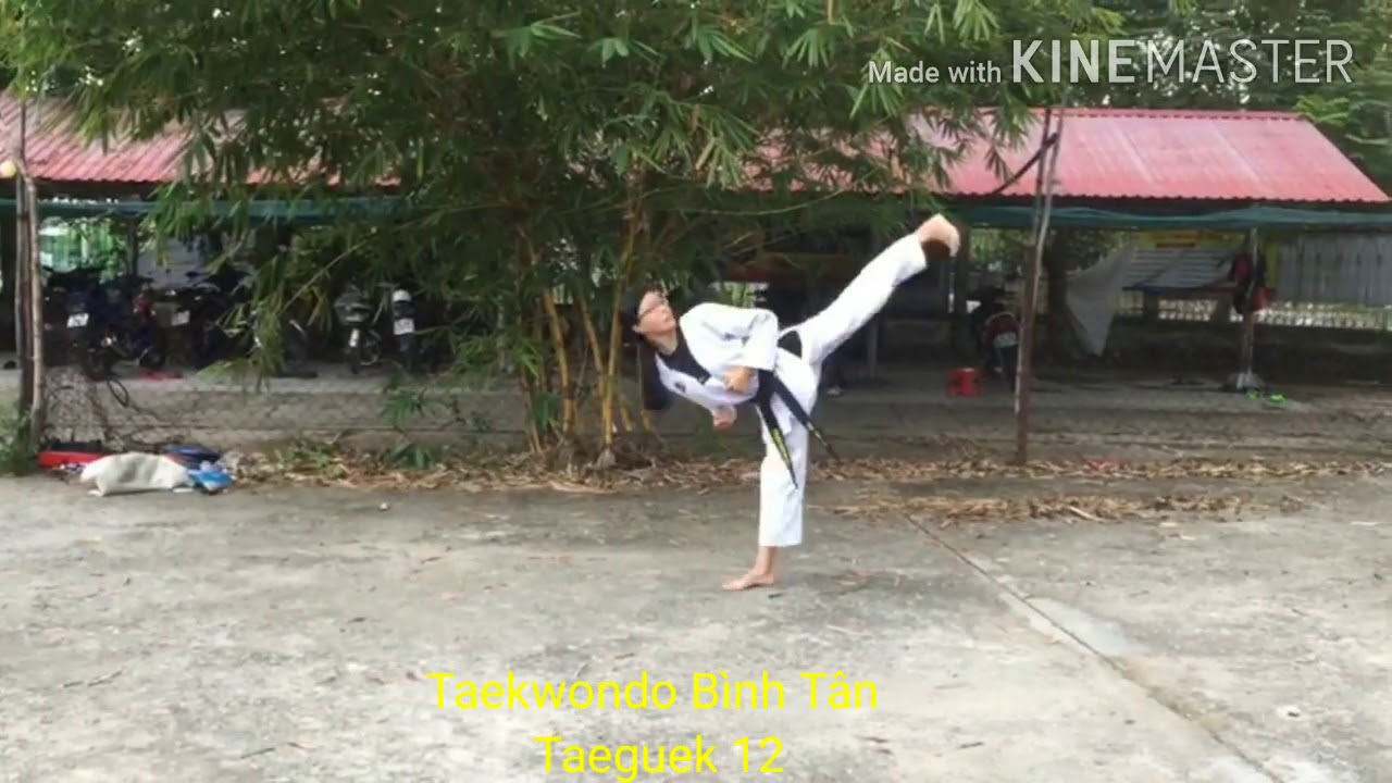 pyongwon Poomsae ( Bài quyền số 12 ) taekwondo - YouTube