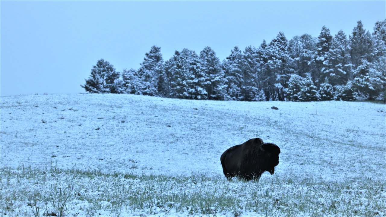 Summer Vacation in Bozeman Montana - YouTube