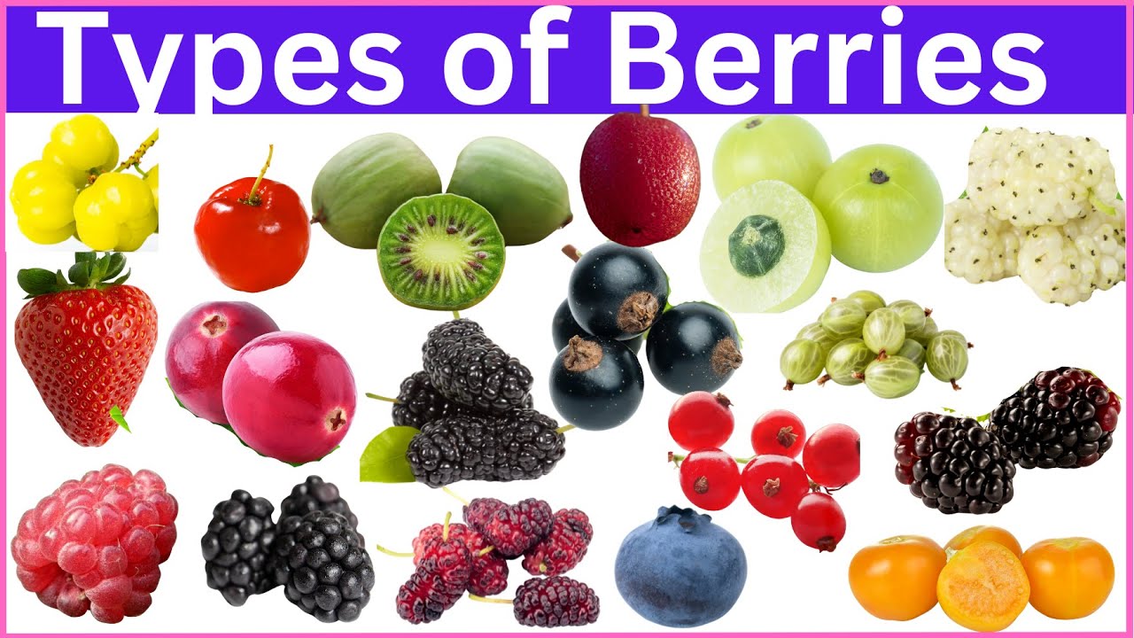 List of all Berries ll Learn All Berry Names in English with Pictures ...