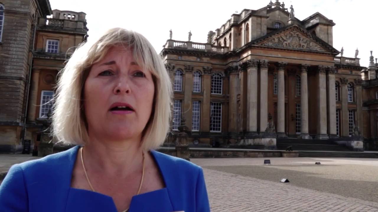 Why we always recommend Fantastic Fireworks, by Heather Carter, Head of ...