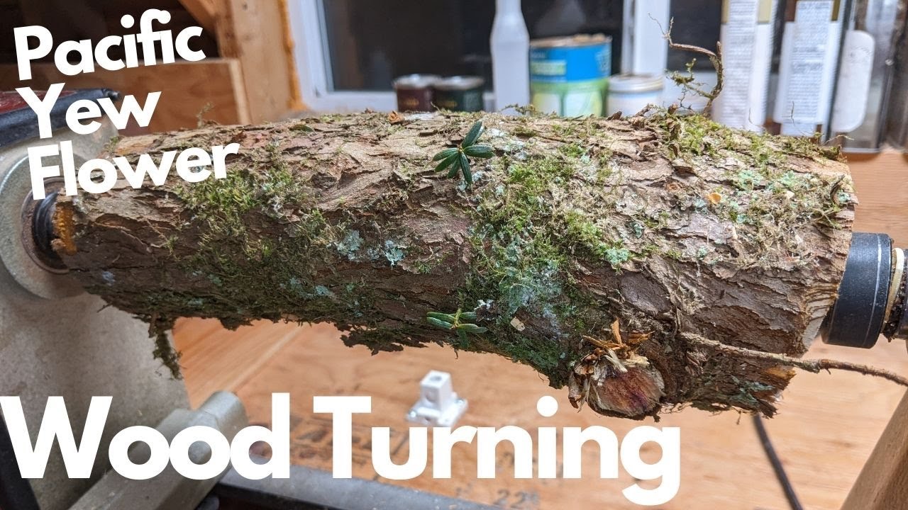 Woodturning - Wooden Tulip! easy cash project. - YouTube
