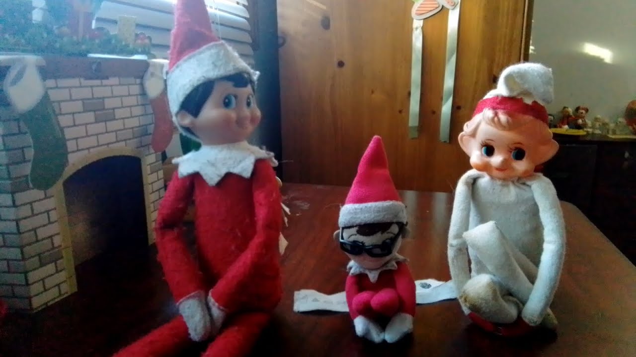 Chippy & Snowball Celebrating Bell's Birthday Morning! Chippy Is Going ...