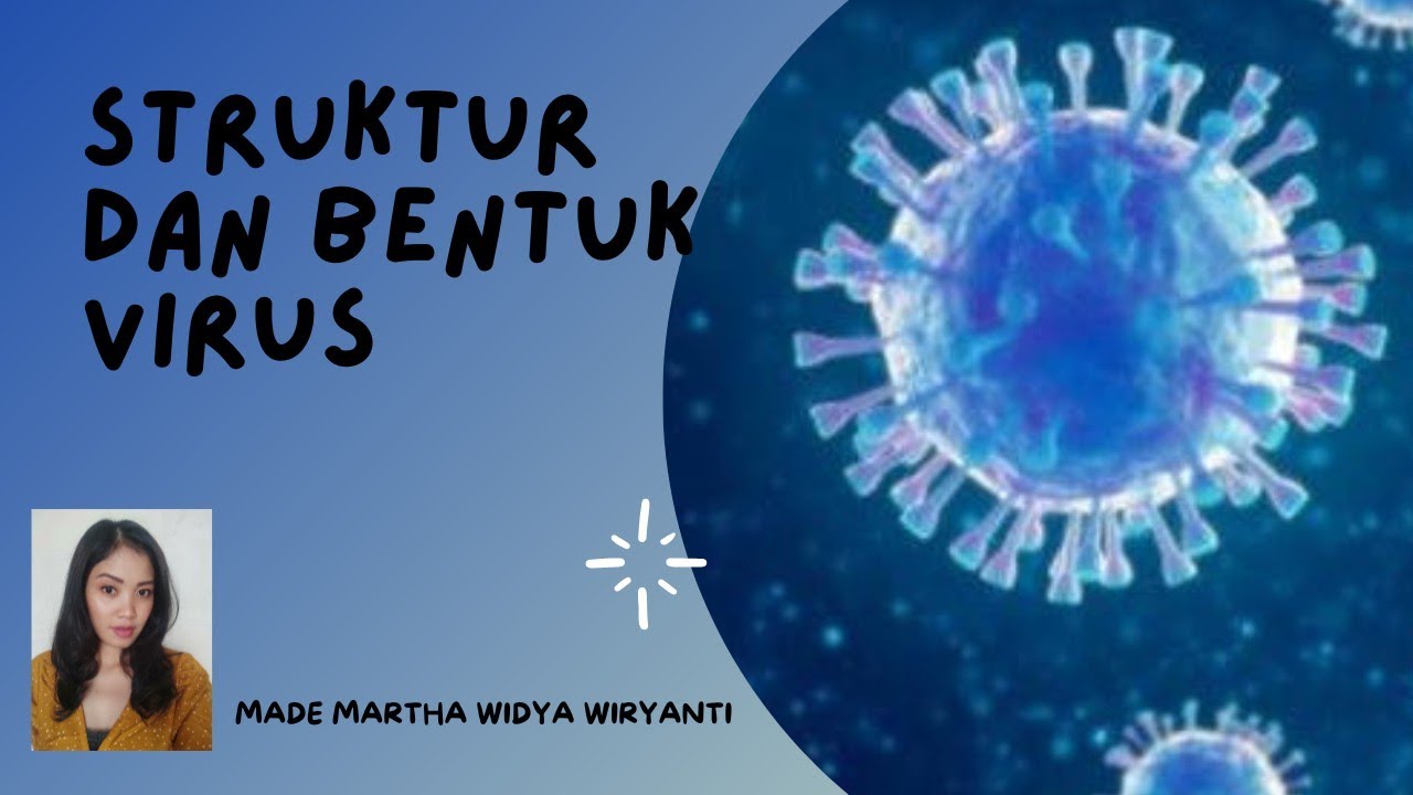 Struktur dan Bentuk Virus Biologi Kelas X Kurikulum Merdeka - YouTube