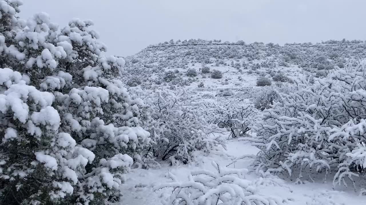 A winter wonderland in Rimrock, Arizona - YouTube
