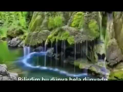 Bilal Efendiyev qardaşin Dunya şeiri