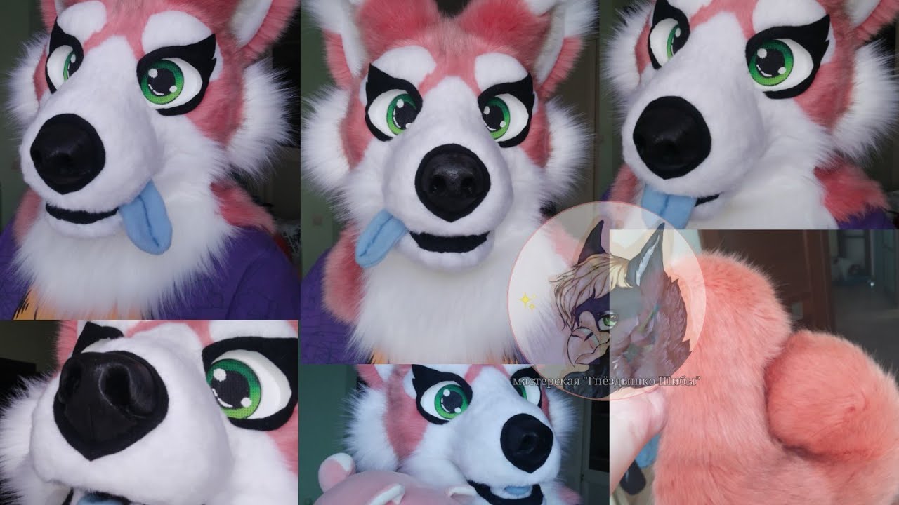 Fursuit review. Corgi dog head and tail - YouTube