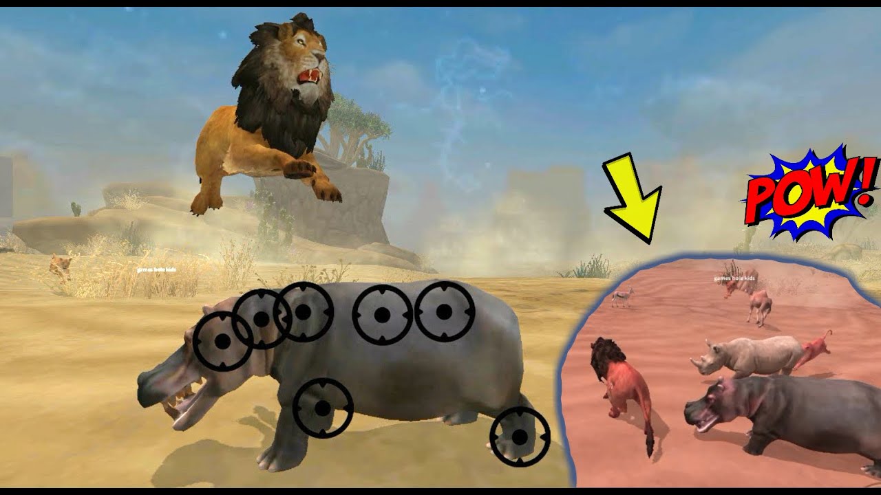 Wild Lion The King Of The Jungle | New Pounce Attack Trick | Lion ...
