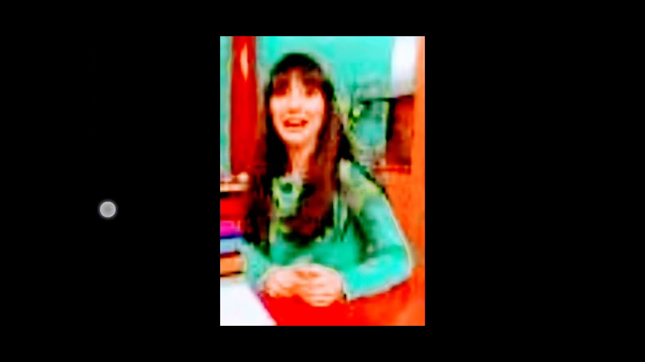 BIG COOK LITTLE COOK 2022 ANDY'S PREHISTORIC ADVENTURES DVBER ANDY'S ...