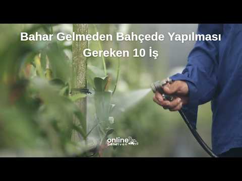 Bahar Gelmeden Önce Bahçede Yapılması Gereken 10 İş | Profesyonel Bahçe Hazırlık Rehberi