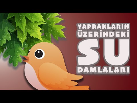 YAPRAKLARIN ÜZERİNDEKİ SU DAMLALARI - UYKU ÖNCESİ MASAL VE NİNNİ
