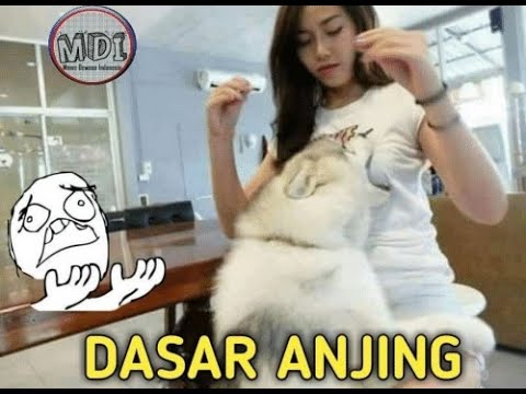 malam minggu udin petot udara dingin pengen seblak Ragnarok X Next Generation - YouTube