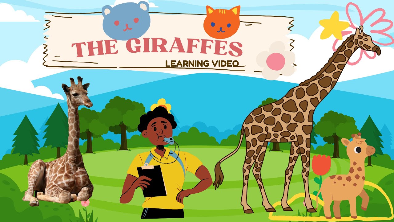 GIRAFFES | Learning about Giraffes | The Giraffes - YouTube