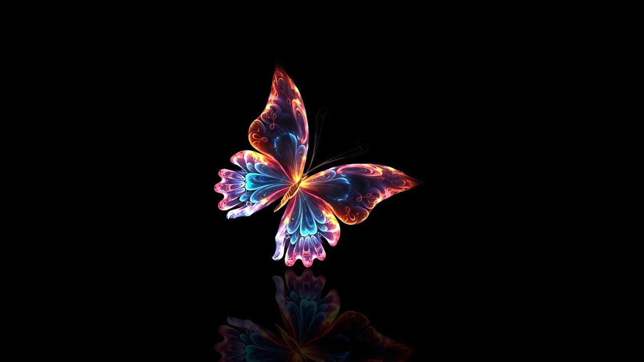 Butterfly effect black screen video | Butterfly flying animation black ...