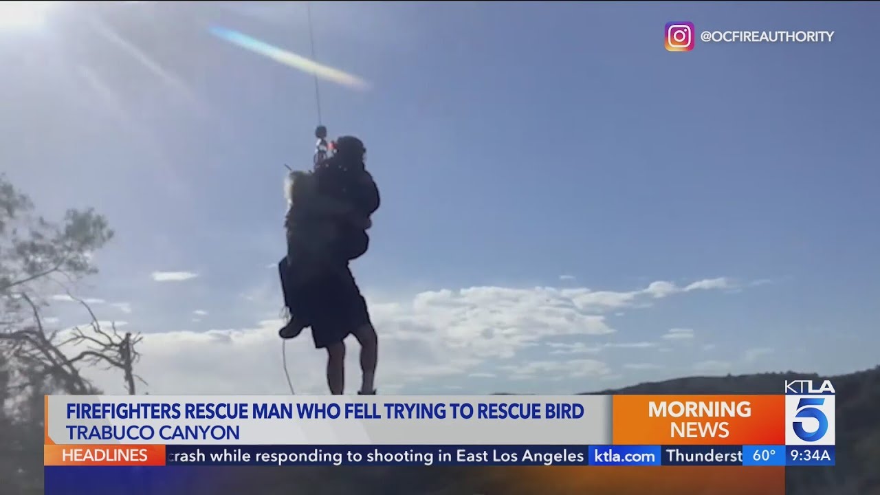 Man falls off cliff trying to rescue bird - YouTube