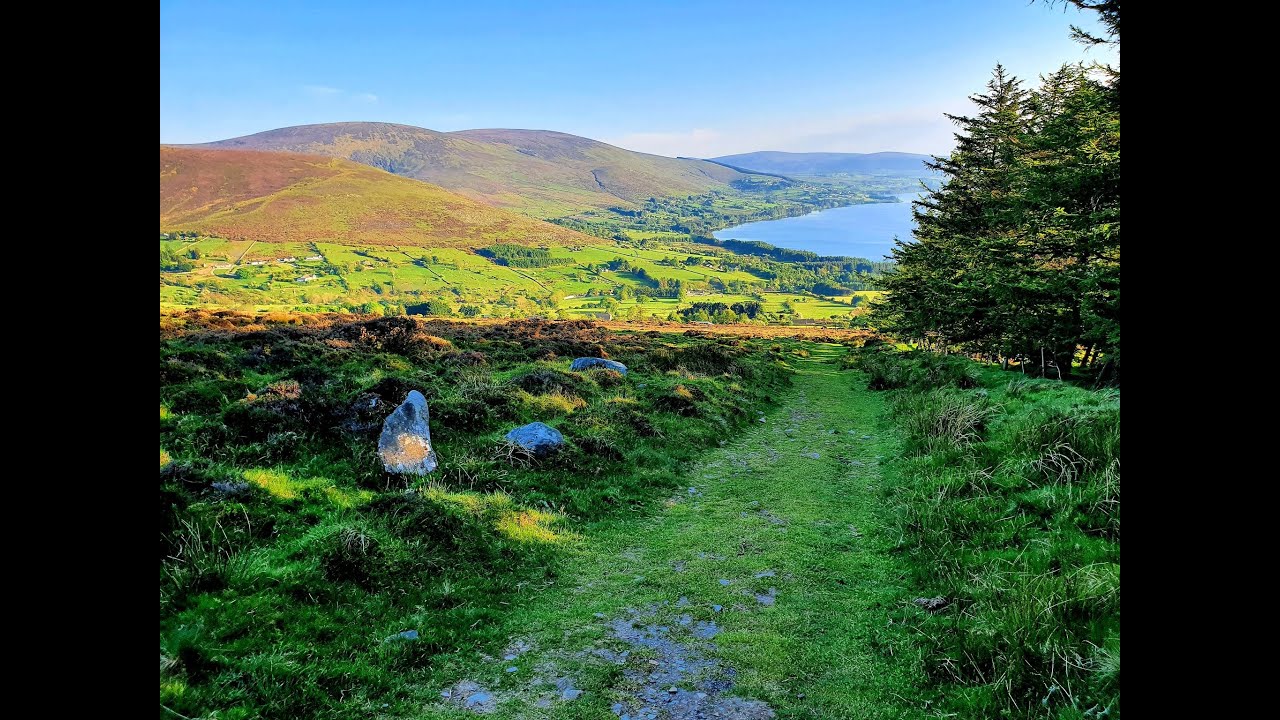 Sorrel Hill - YouTube