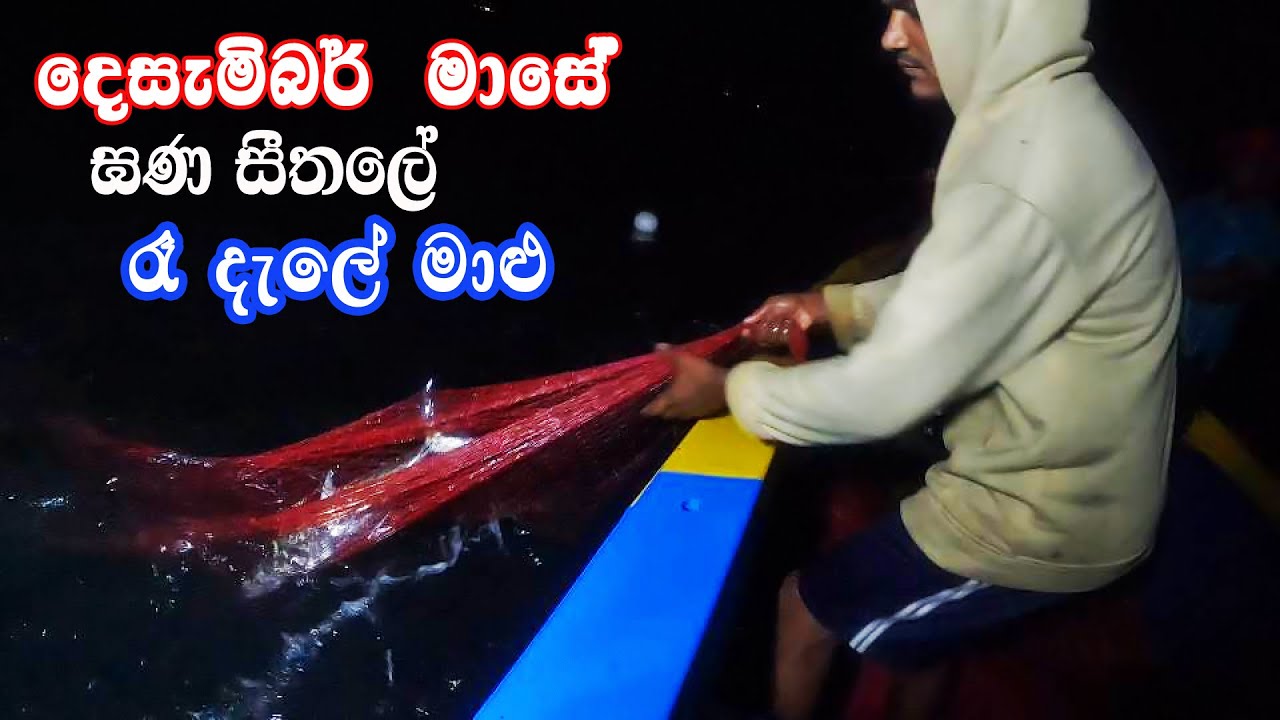 Amazing Net Fishing In the Sea | Night Fishing - YouTube
