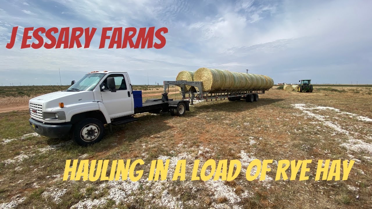 Hauling in a Load of Rye Hay - YouTube