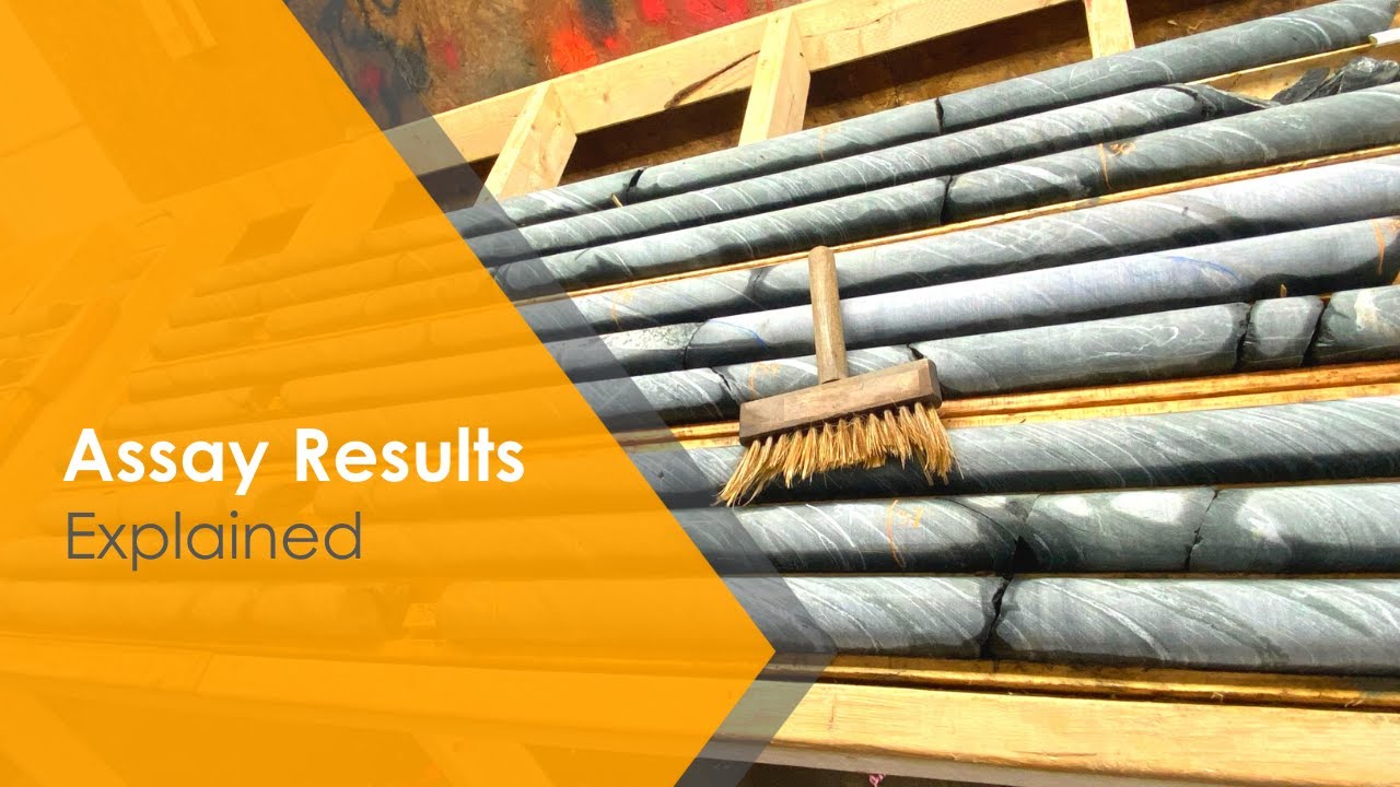 Assay Explained - YouTube