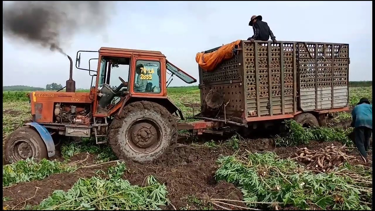 Máy Cày Belarus 925 Turbo Hỗ Trợ 825 Vượt Đường Lầy - YouTube