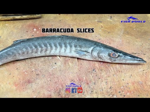 Barracuda / Shilla Fish slice cutting #fish #seafood #youtubeshorts # ...