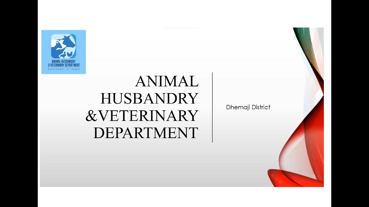 Animal Husbandry and Veterinary Department, Dhemaji 2023 - YouTube