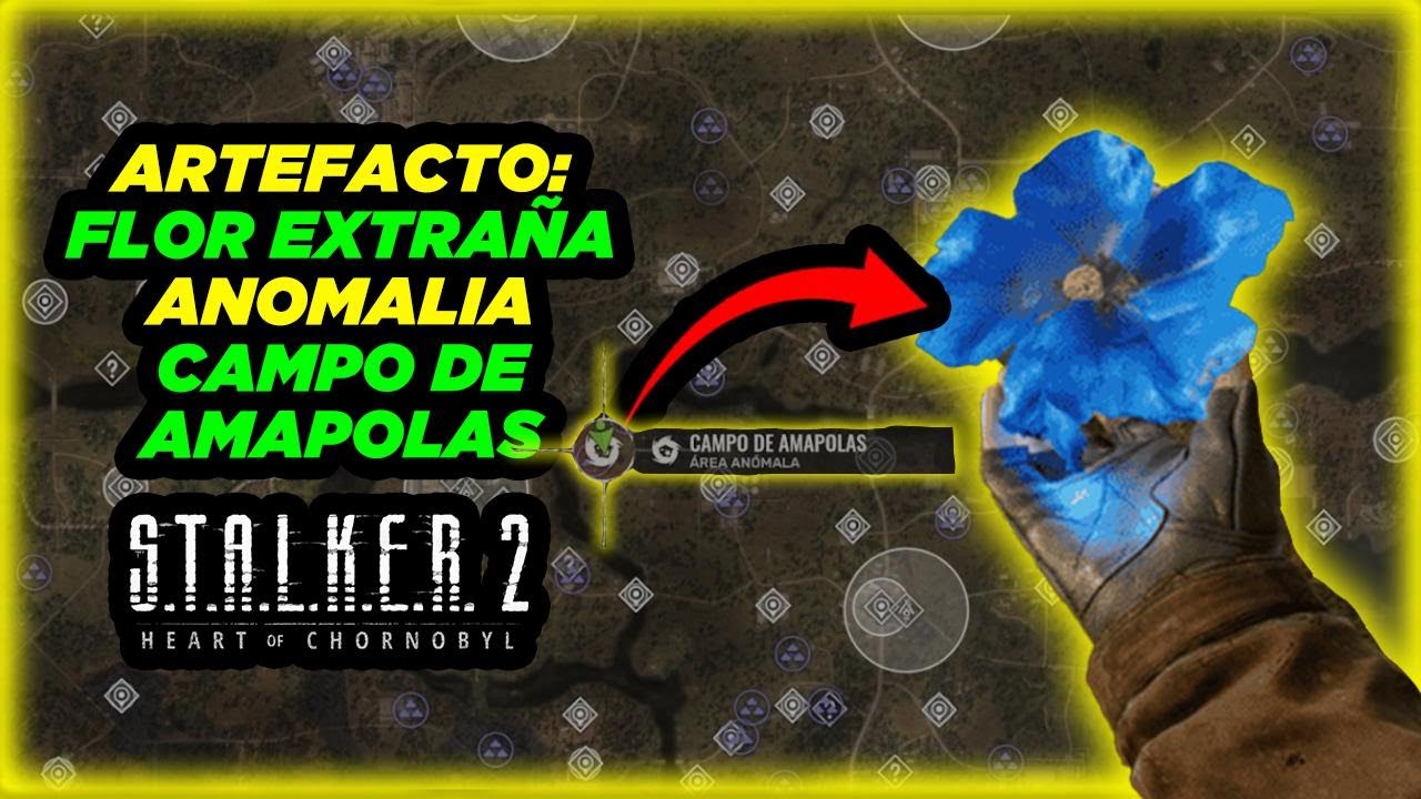 ARTEFACTO CAMPO DE AMAPOLAS 🌹 | FLOR EXTRAÑA | STALKER II - YouTube