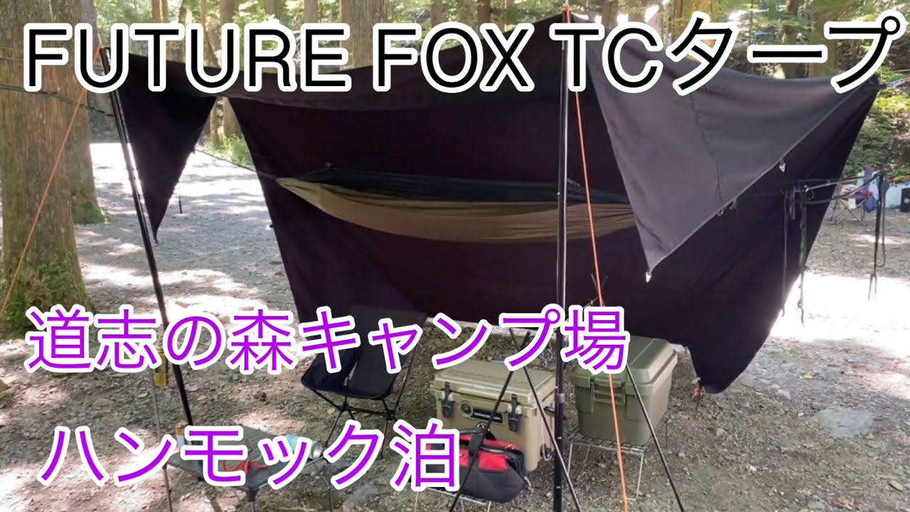 道志の森キャンプ場 ハンモック泊 ソロキャンプ future fox - YouTube