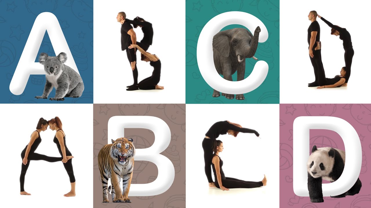 Human Alphabet - Animal Flashcards | Teaching Kids ABCs with the Human ...