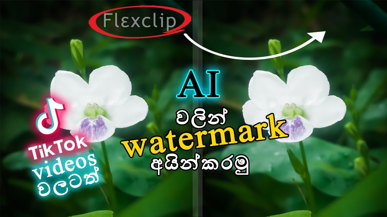 How to Remove Watermark from Video Sinhala (⭕only for educational ...
