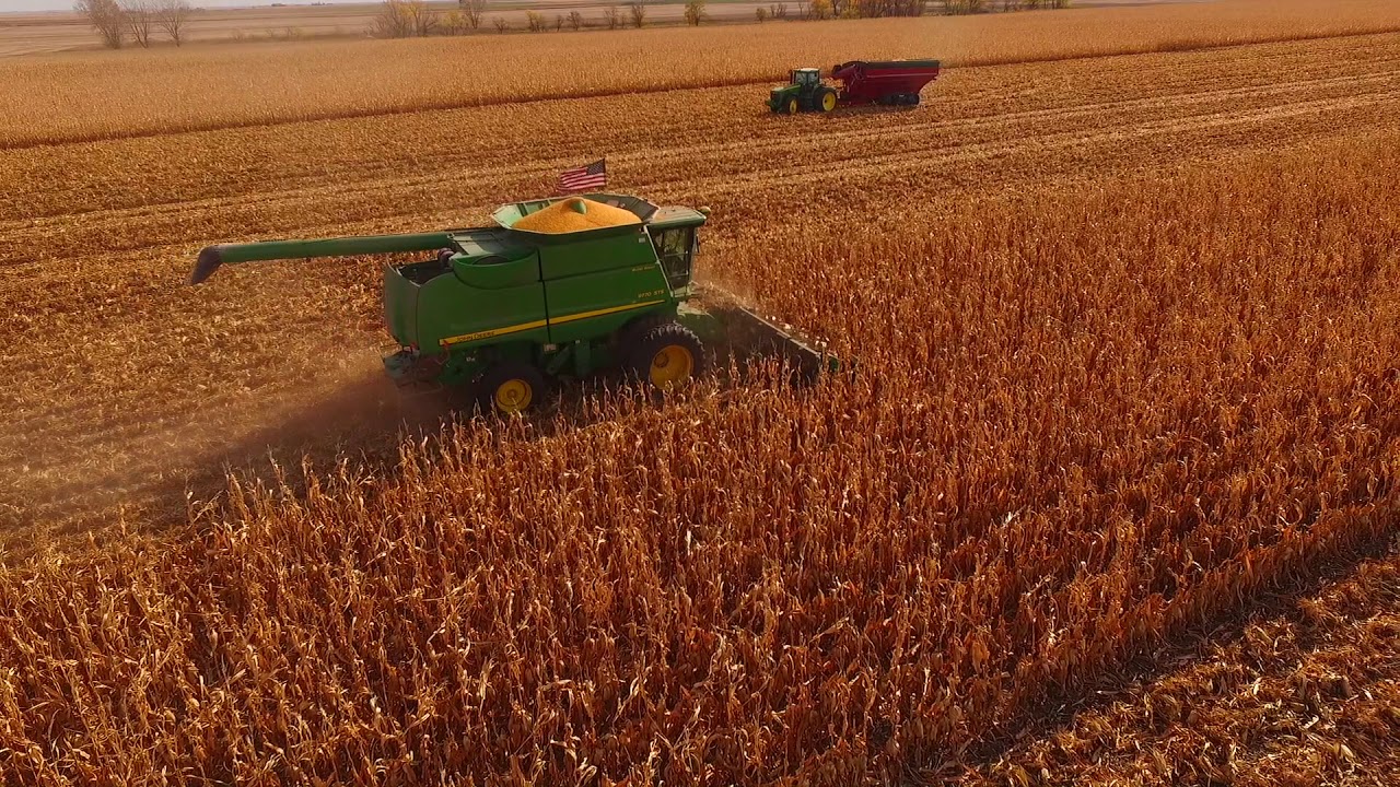 Corn Harvest 2017 - YouTube