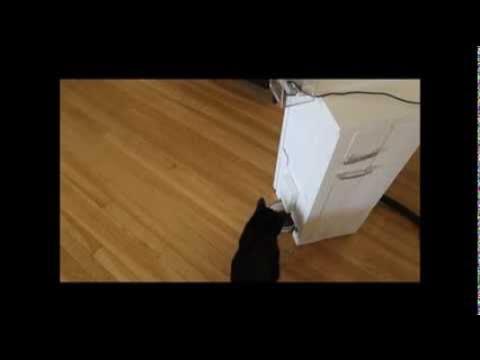 DIY automatic cat feeder - YouTube