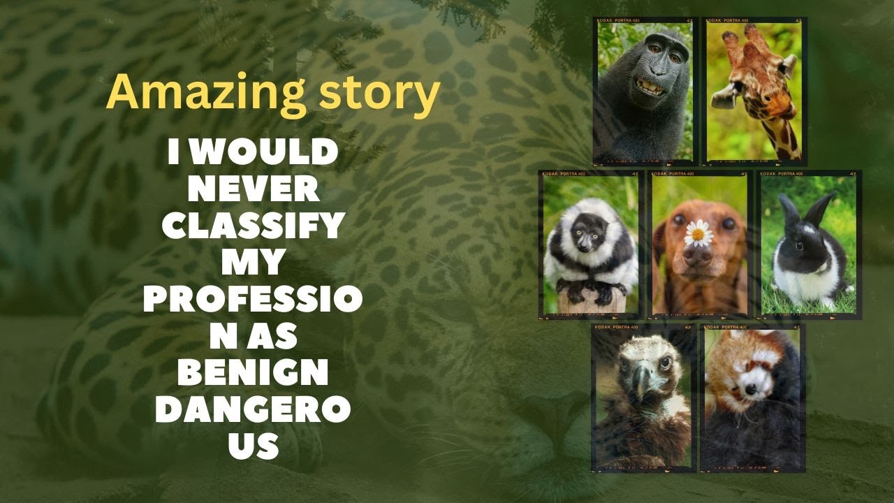 Amazing story by photographer 💌 || a wildlife documentary || NATURE ...