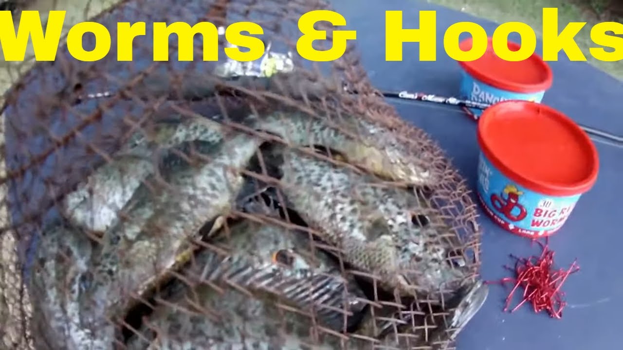 **SHELLCRACKERS IN THE DEEP SOUTH (USING A HOOK AND WORMS)** - YouTube