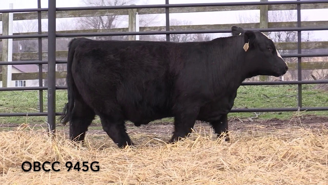 OBCC 945G - YouTube