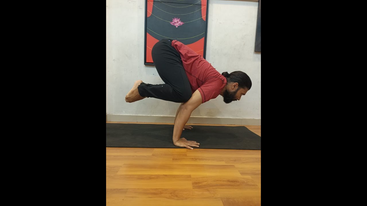 Bakasana for Beginners | Arm Strength and Balancing Pose | Beginners ...