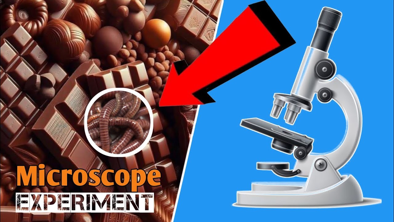 The Strange Secret of Chocolate! What I Saw Under the Microscope Will Shock You! - YouTube