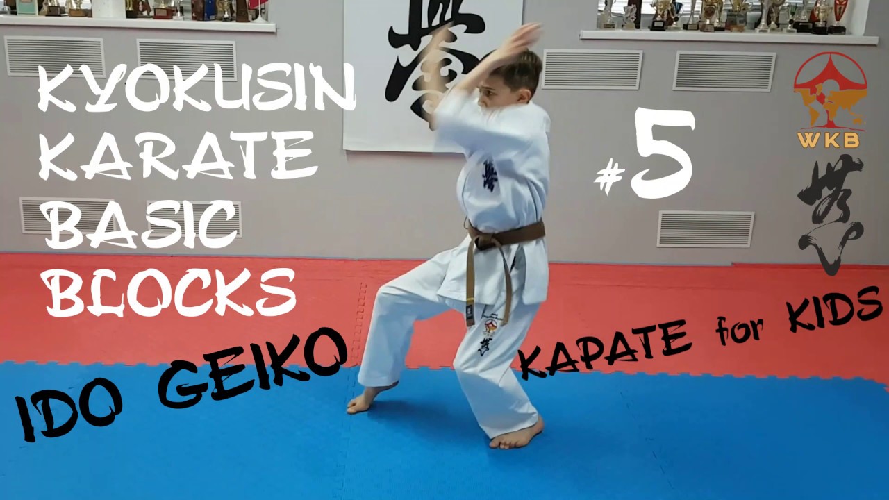 Базовые блоки в киокушин карате. Часть 5. Kyokushin karate basic blocks, Part 5. - YouTube