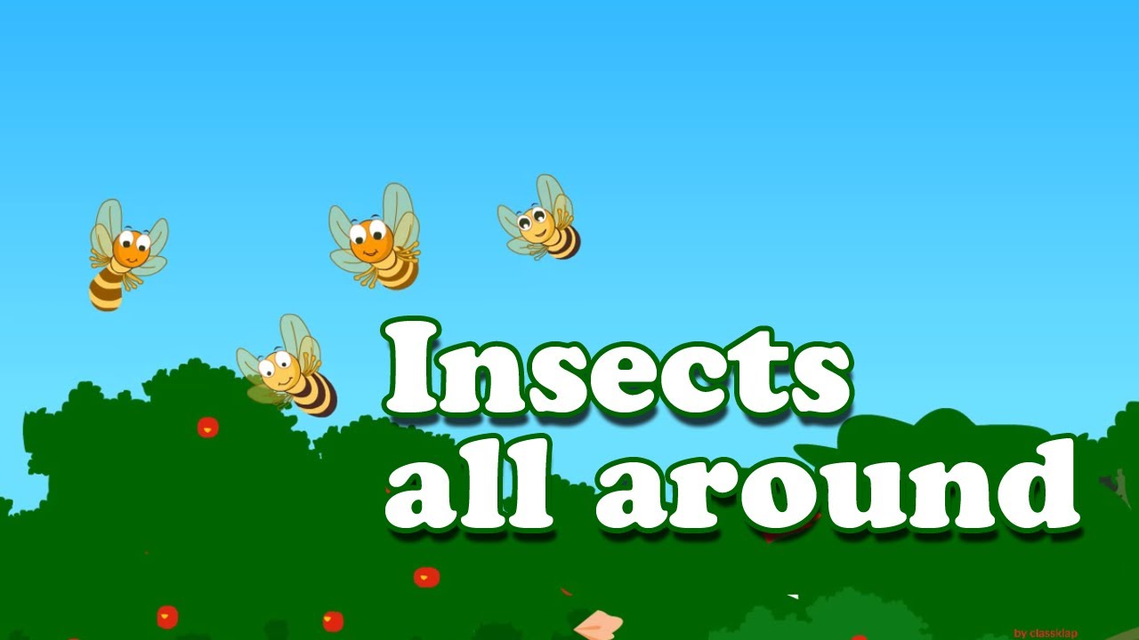 English Rhymes - Insects All Around - YouTube