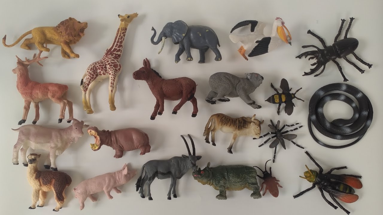 Nama Hewan dan Suaranya, Singa, Rusa, Gajah, Jerapaha, Alpaka, Ular ...