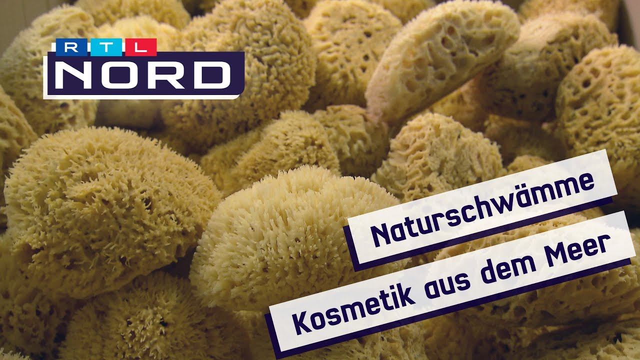 Badeschwämme aus dem Meer: Die Vorteile des Naturschwamms - YouTube
