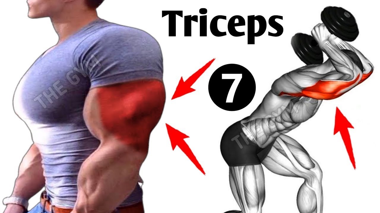 tricep exercises:7 best tricep exercises - YouTube
