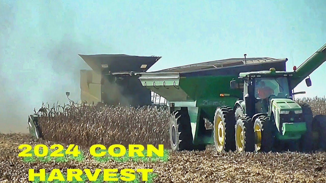 JOHN DEERE S690 COMBINE WITH 16 ROW CORN HEAD HARVESTING A LARGE FIELD ...