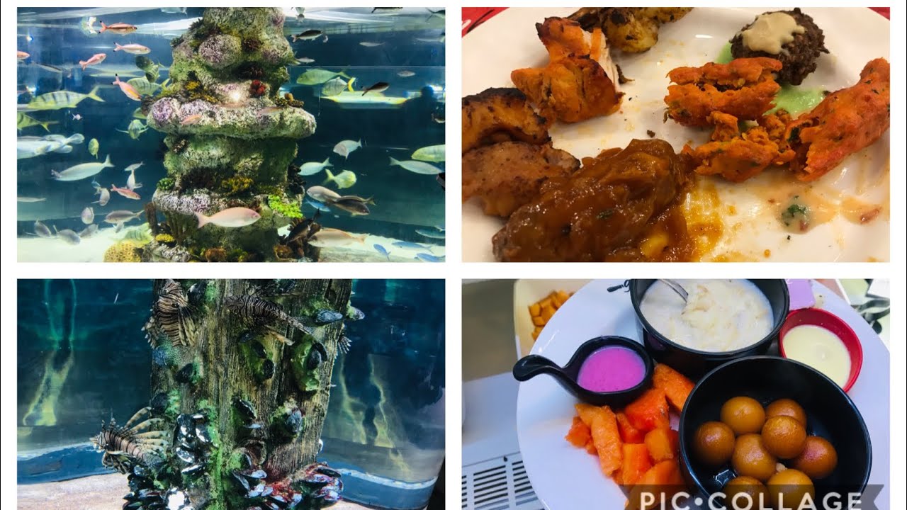 Our Holiday Trip~ VGP Marine Kingdom~ Cart Attack~ Dinner at Grill Box ...