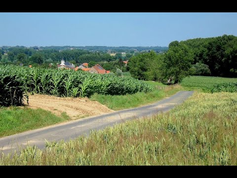 Parike | Een overzicht
