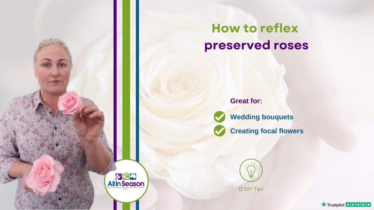 DIY TIP 🌹 How to reflex a preserved rose. - YouTube