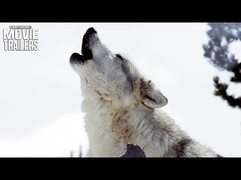 LIVING IN THE FUTURE'S PAST Trailer NEW (2018) - Jeff Bridges Award Winning Documentary