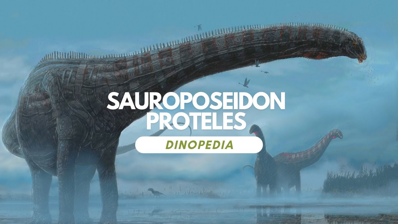 Dinopedia - Sauroposeidon proteles - YouTube