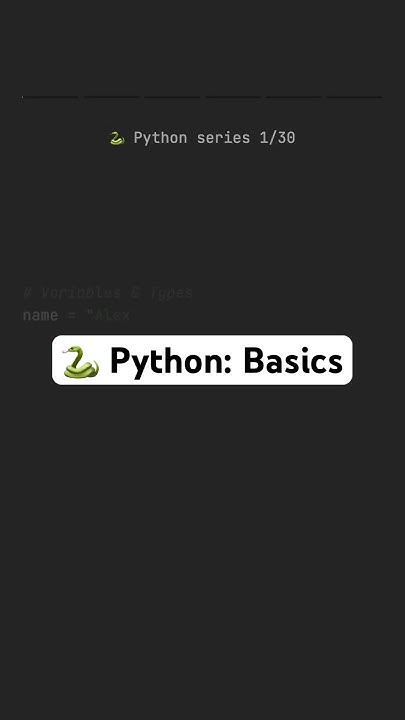 🐍 Python - Basics - YouTube
